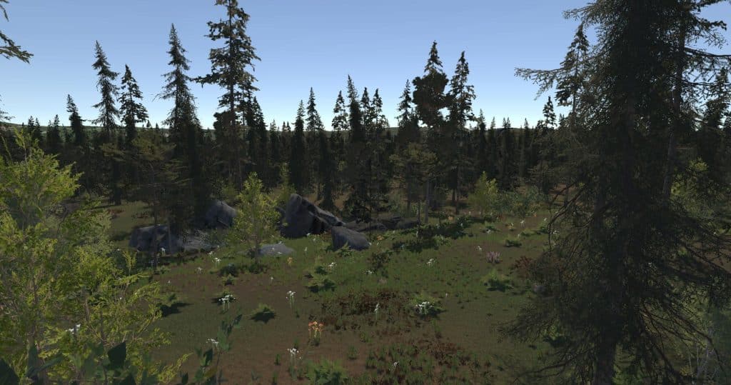 Realistic Forest Template – TerraUnity
